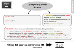 Leçon, trace écrite Accord du nom / pluriels particuliers : 2eme Primaire